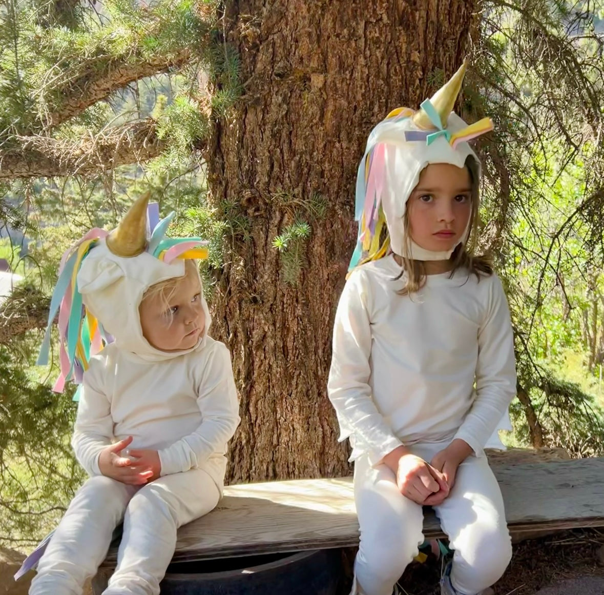 Not Your Typical Unicorn Moment 🦄 – Band of the Wild