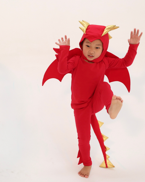 Red Dragon Costume – Band of the Wild